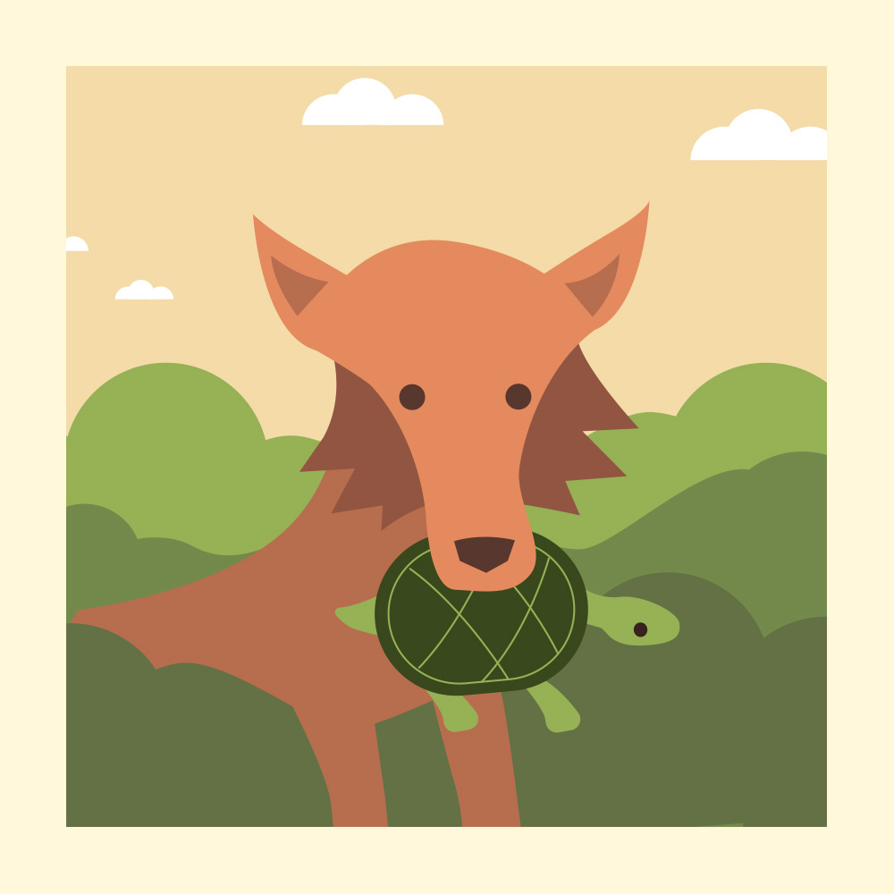 Discover How Turtle Tricks Crafty Coyote -Storytelling Podcast for Kids ...