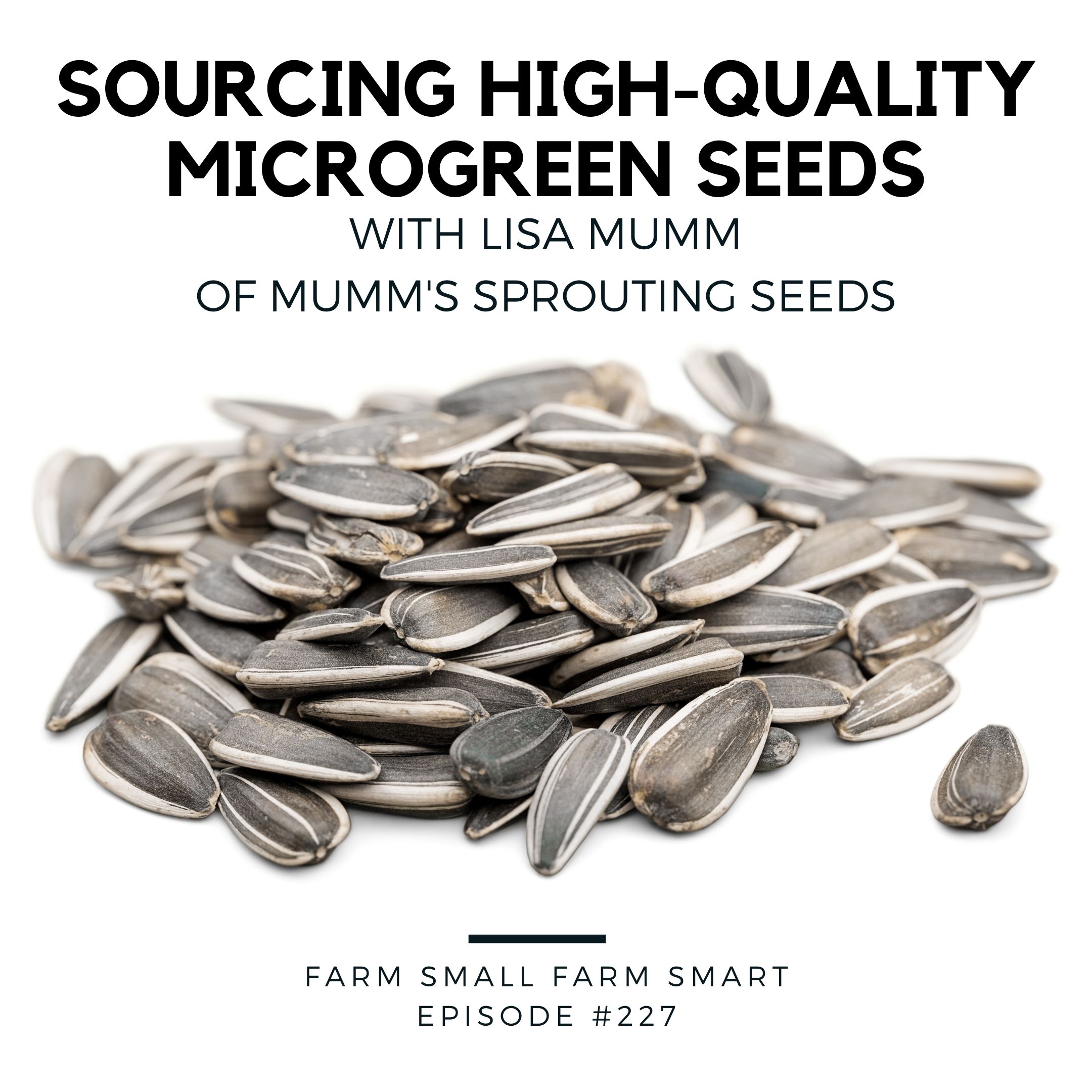 Sourcing High-Quality Microgreen Seeds with Lisa Mumm of Mumm's ...