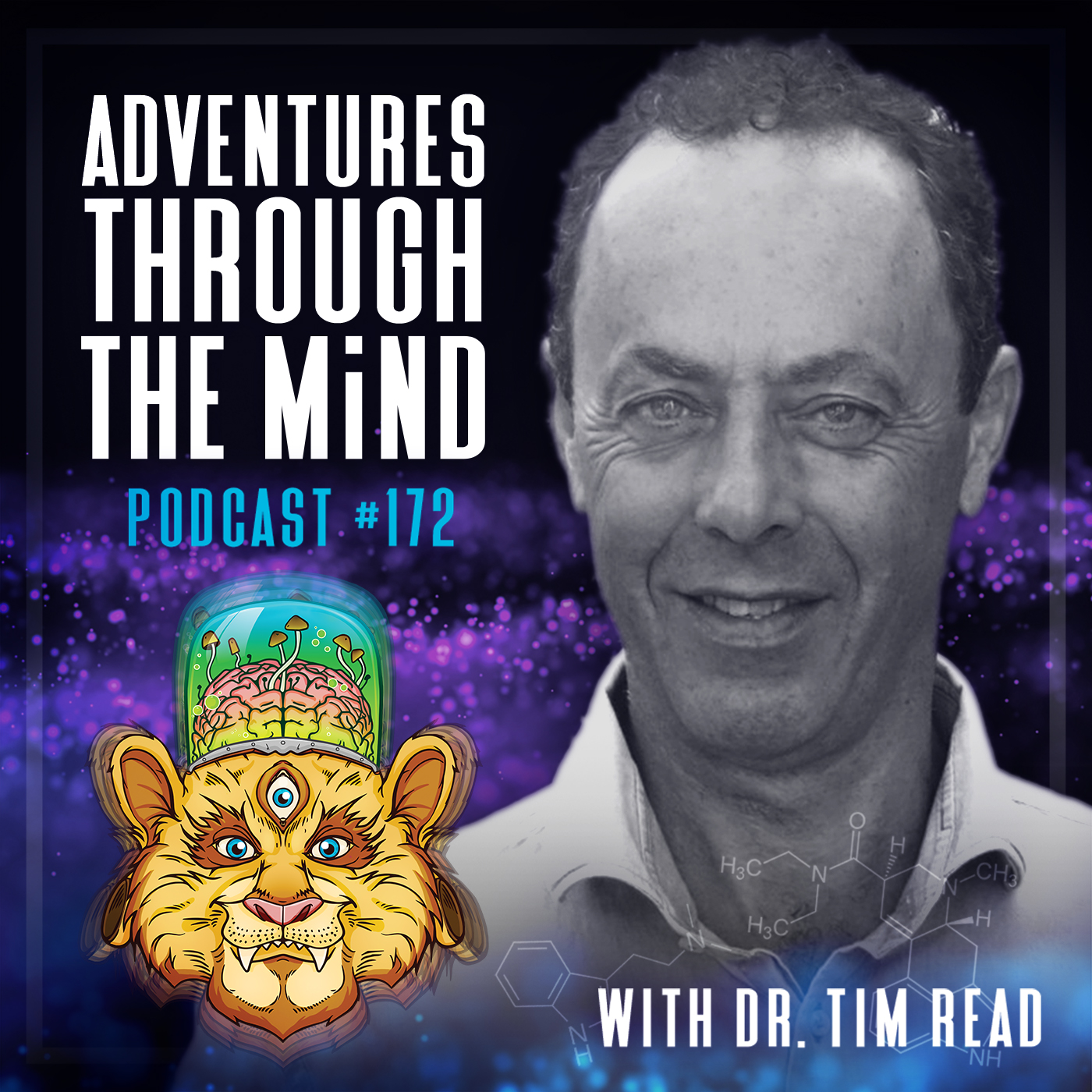 A Jungian Approach To Psychosis, Spiritual Crisis, and Healing Our ...