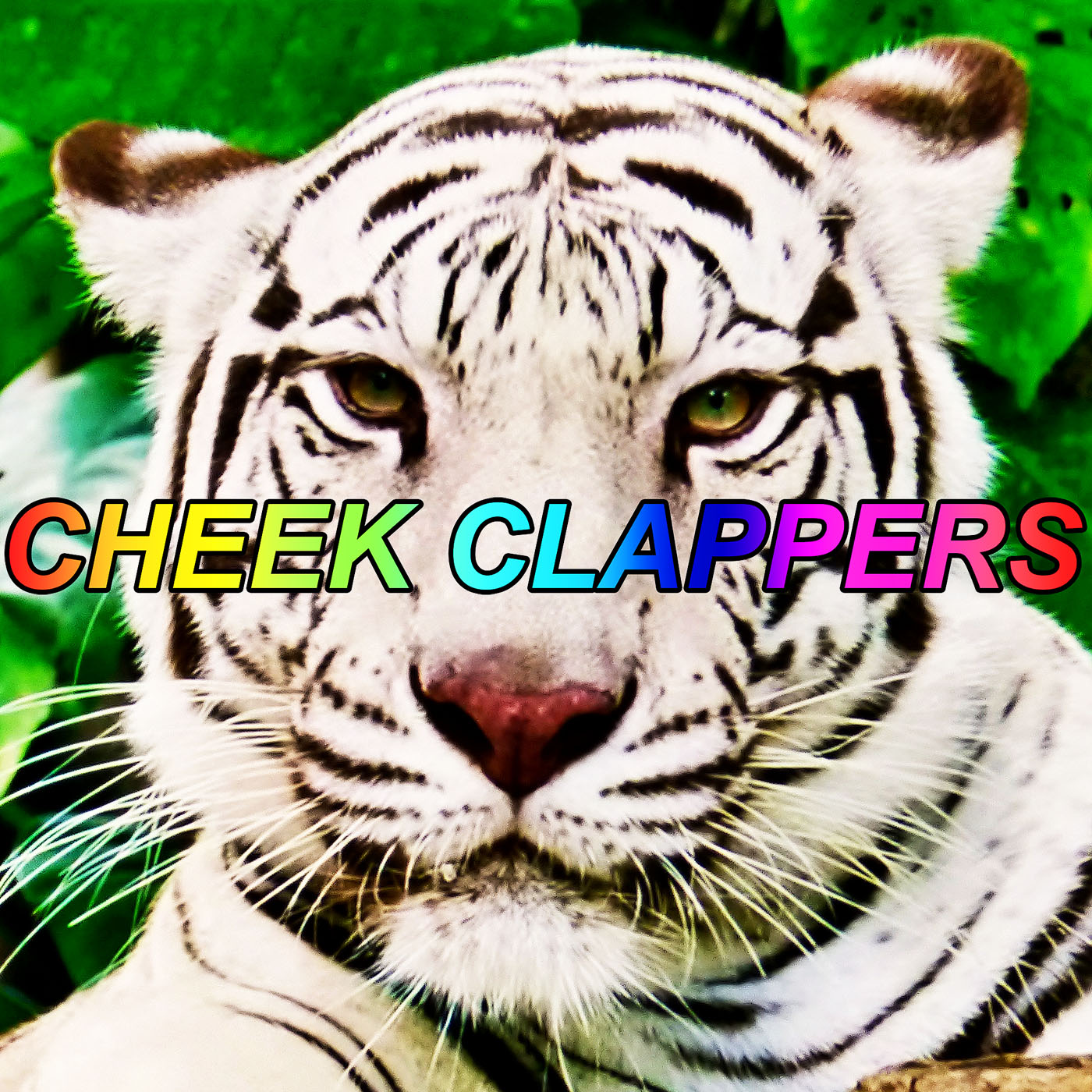 Put On Your Spiritual Armour (That's Good Clappers) – Cheek Clappers ...