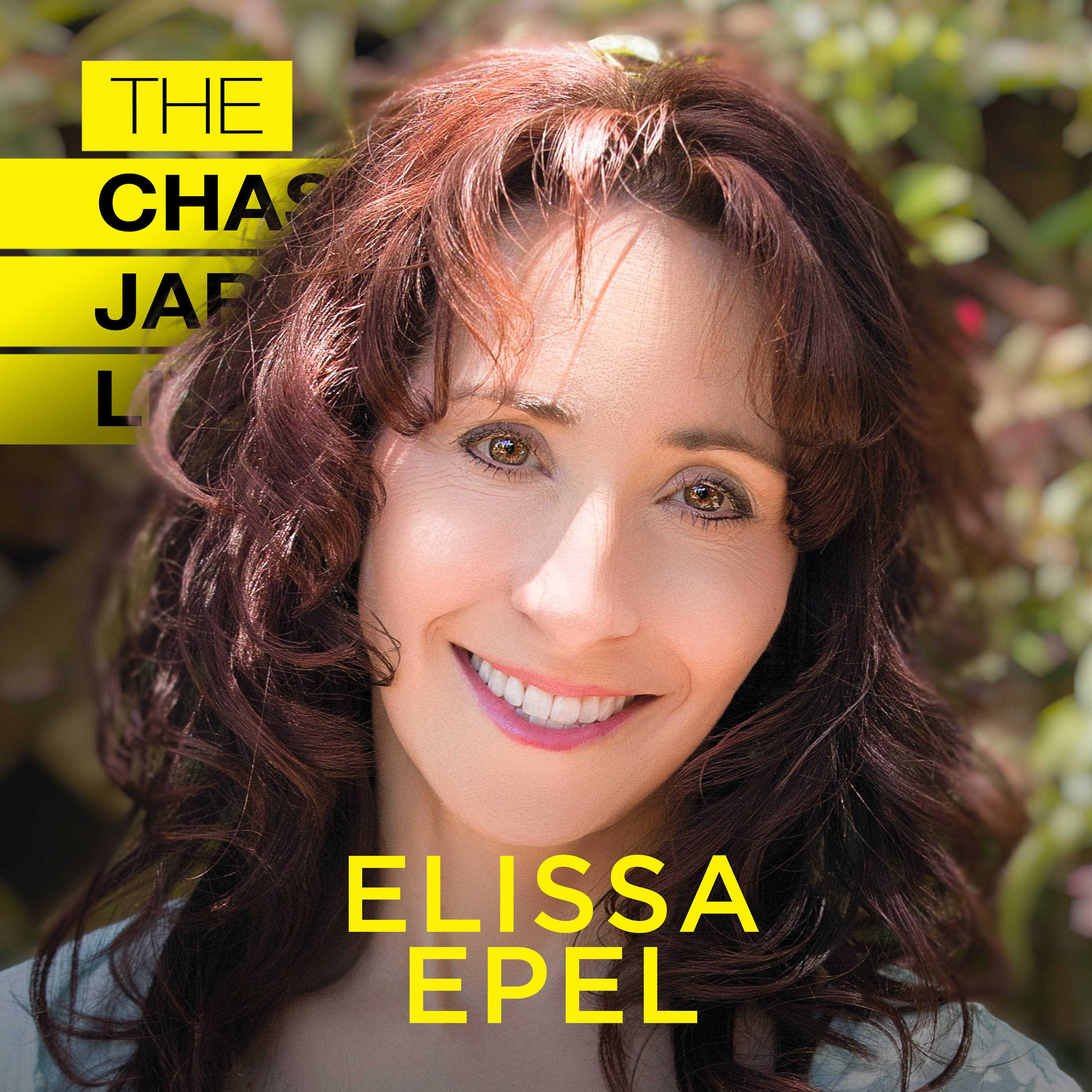How Do We Break Out of Chronic Stress with Dr. Elissa Epel – The Chase ...