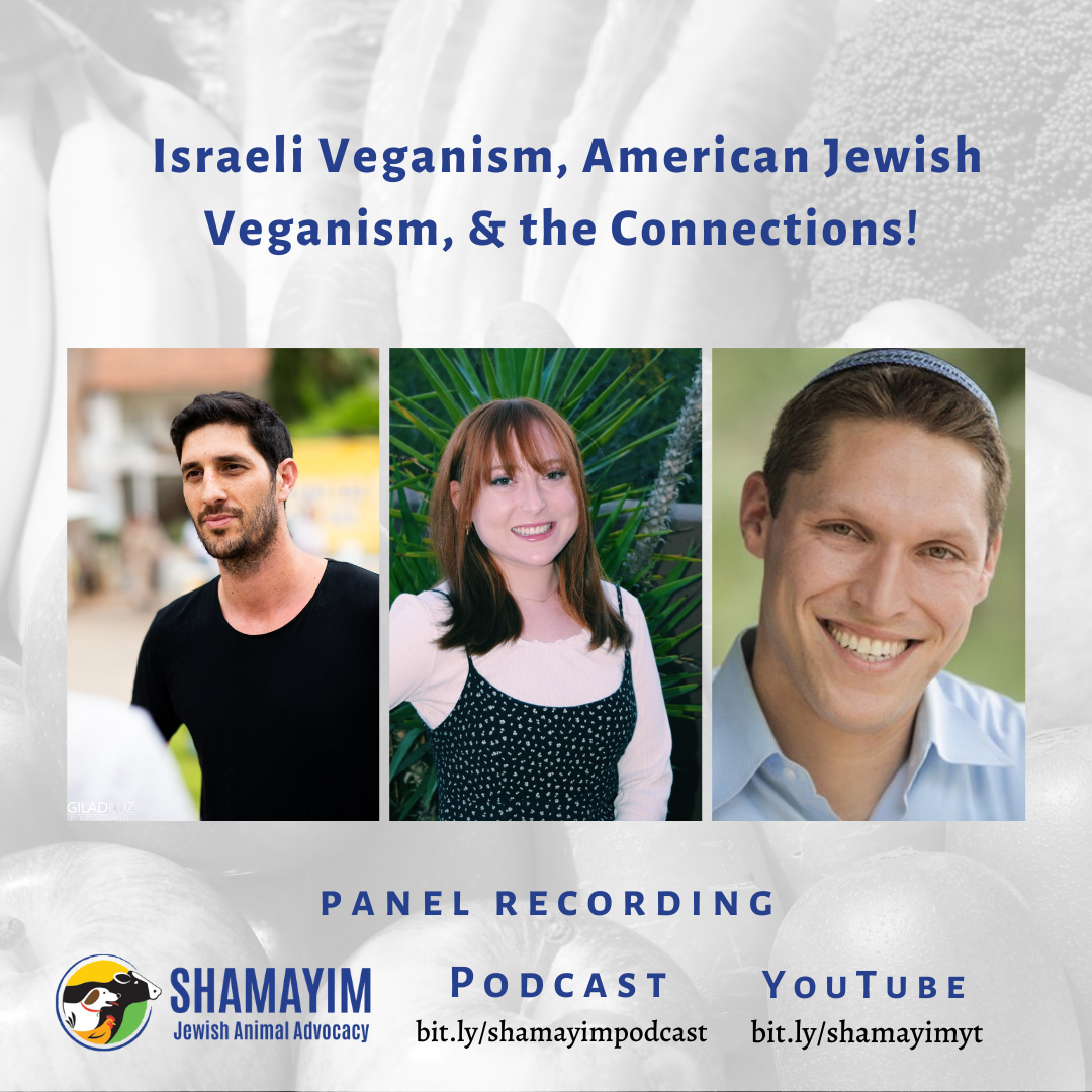 Israeli Veganism, American Jewish Veganism, & the Connections ...
