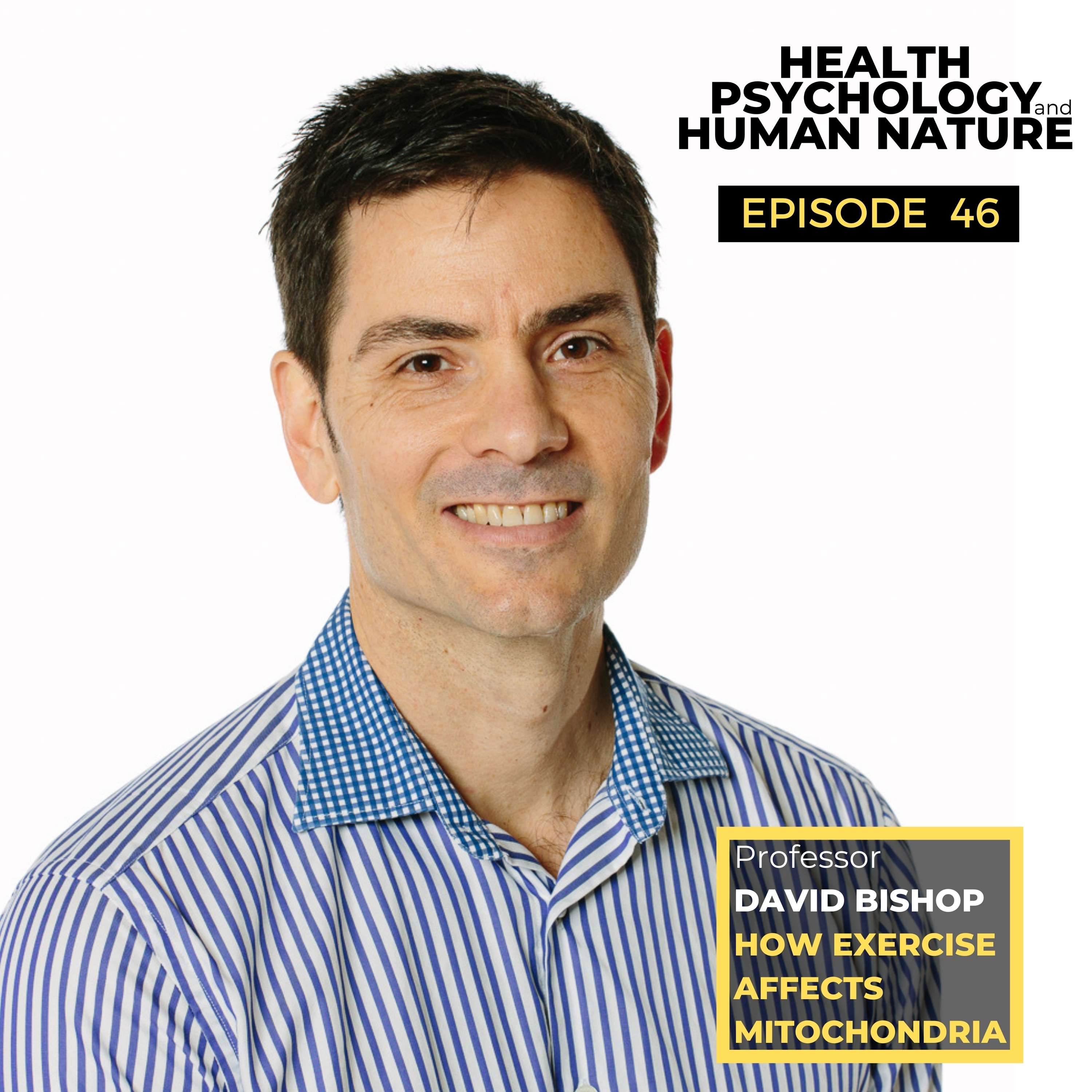 #37: The One Minute Workout – Professor Martin Gibala – Health ...