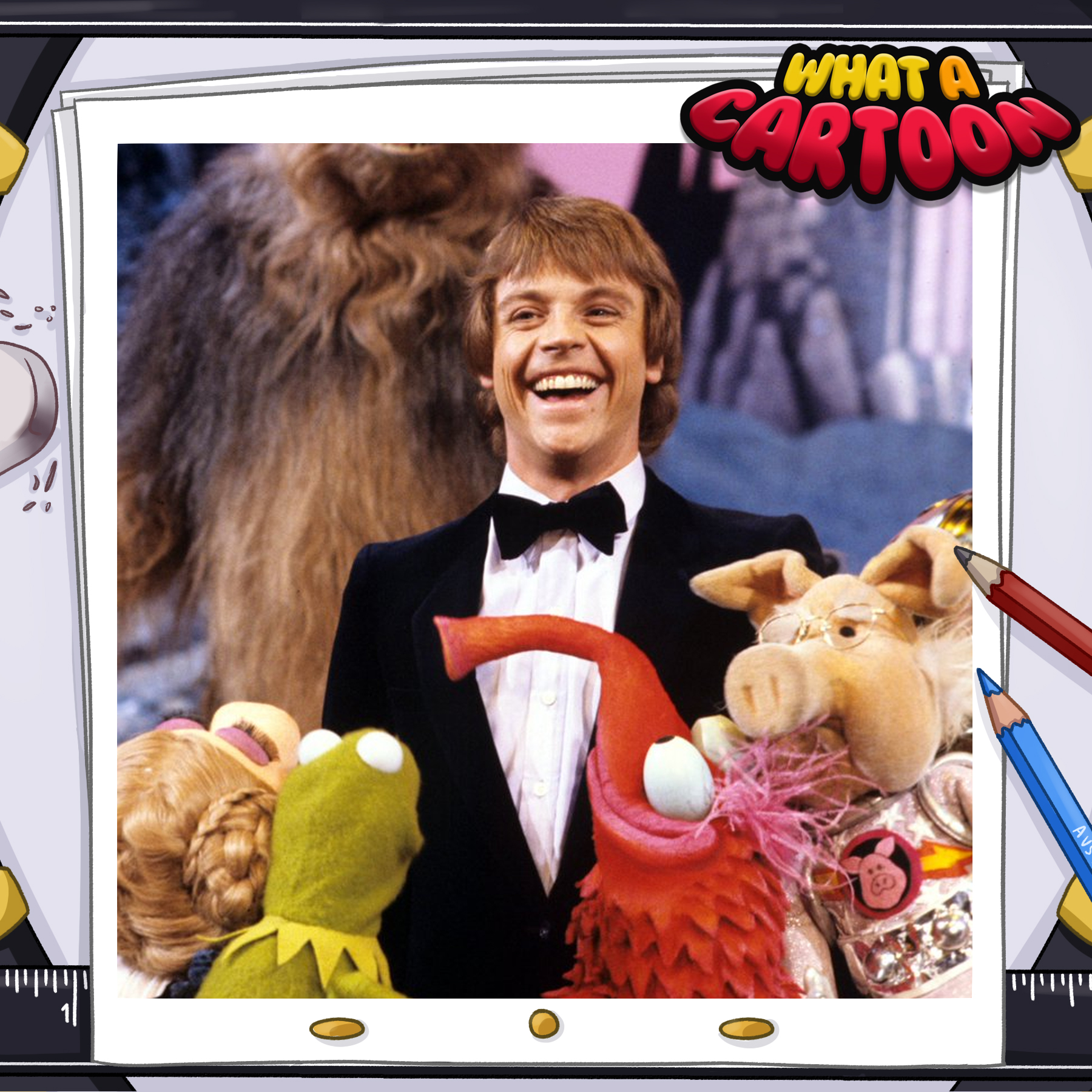 What A Cartoon! - The Muppet Show "The Stars of Star Wars" - What A ...