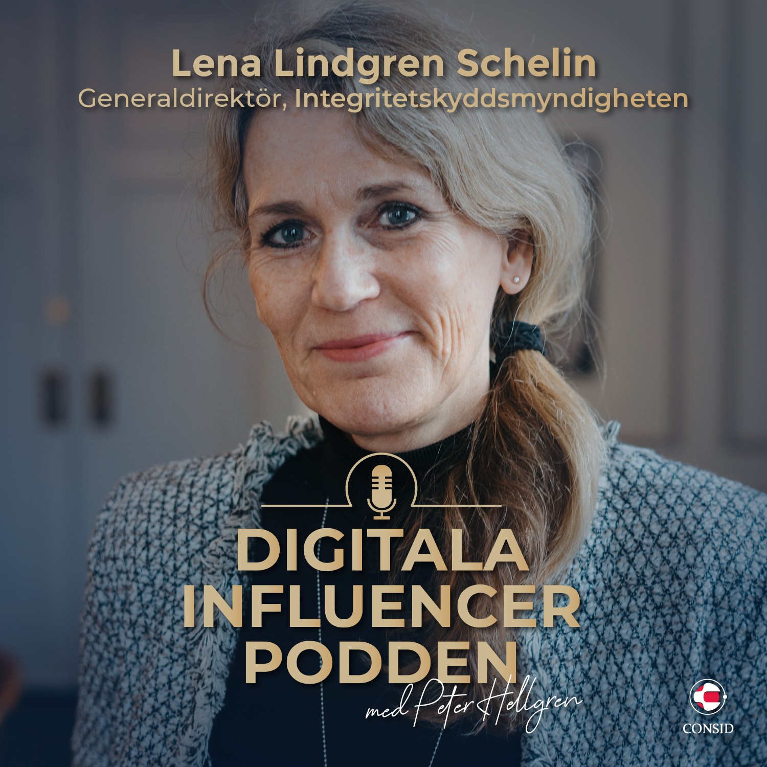 Övervakar övervakarna | Lena Lindgren Schelin, generaldirektör ...