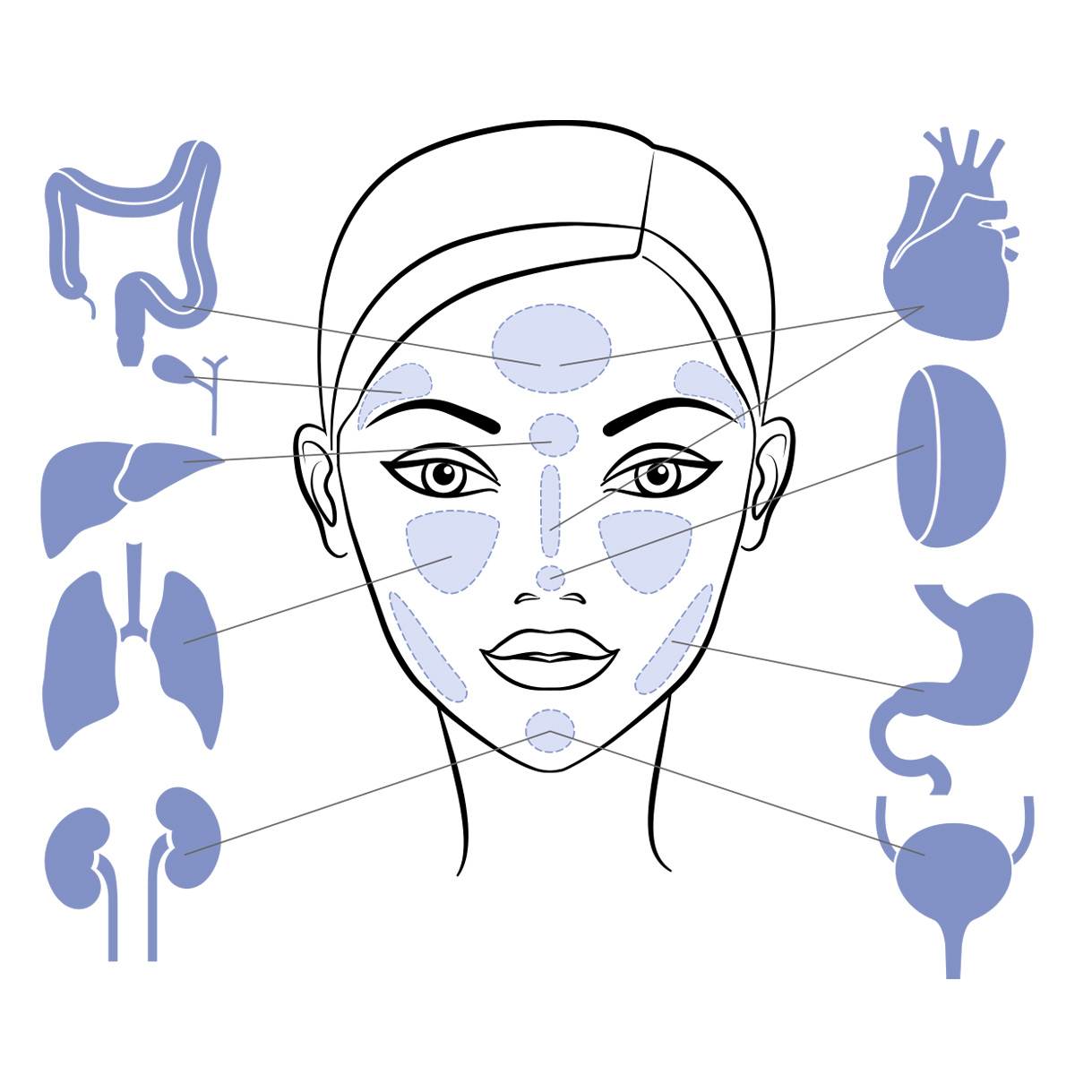 22. Face Mapping: Fact or Fiction? – Skin Theory with Emme Diane ...