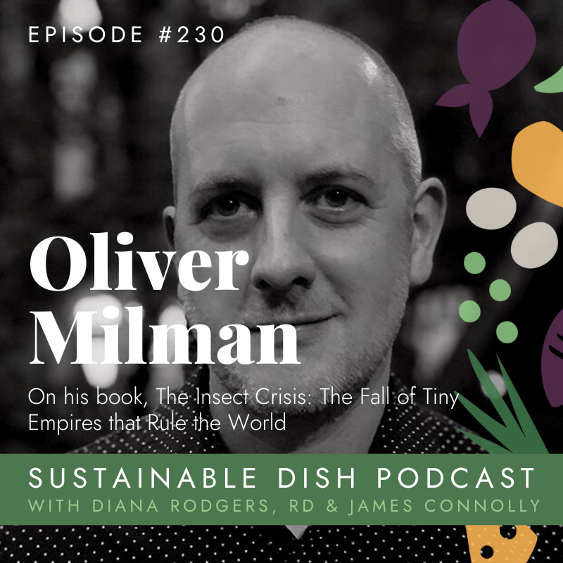 Oliver Milman on His New Book, The Insect Crisis: The Fall of the Tiny ...