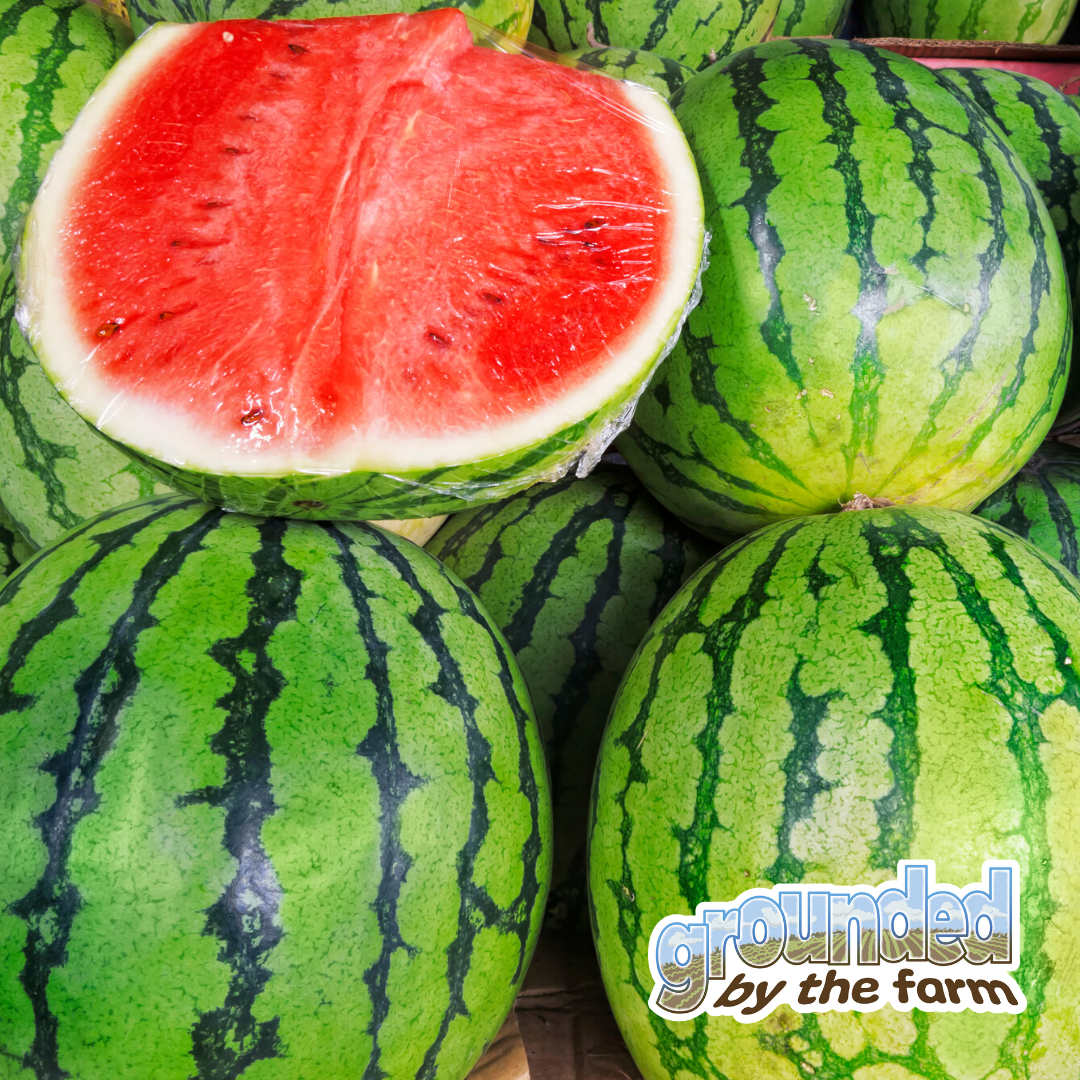 Growing Watermelons & Connecting to Customers: Rachel Syngo's Family is ...