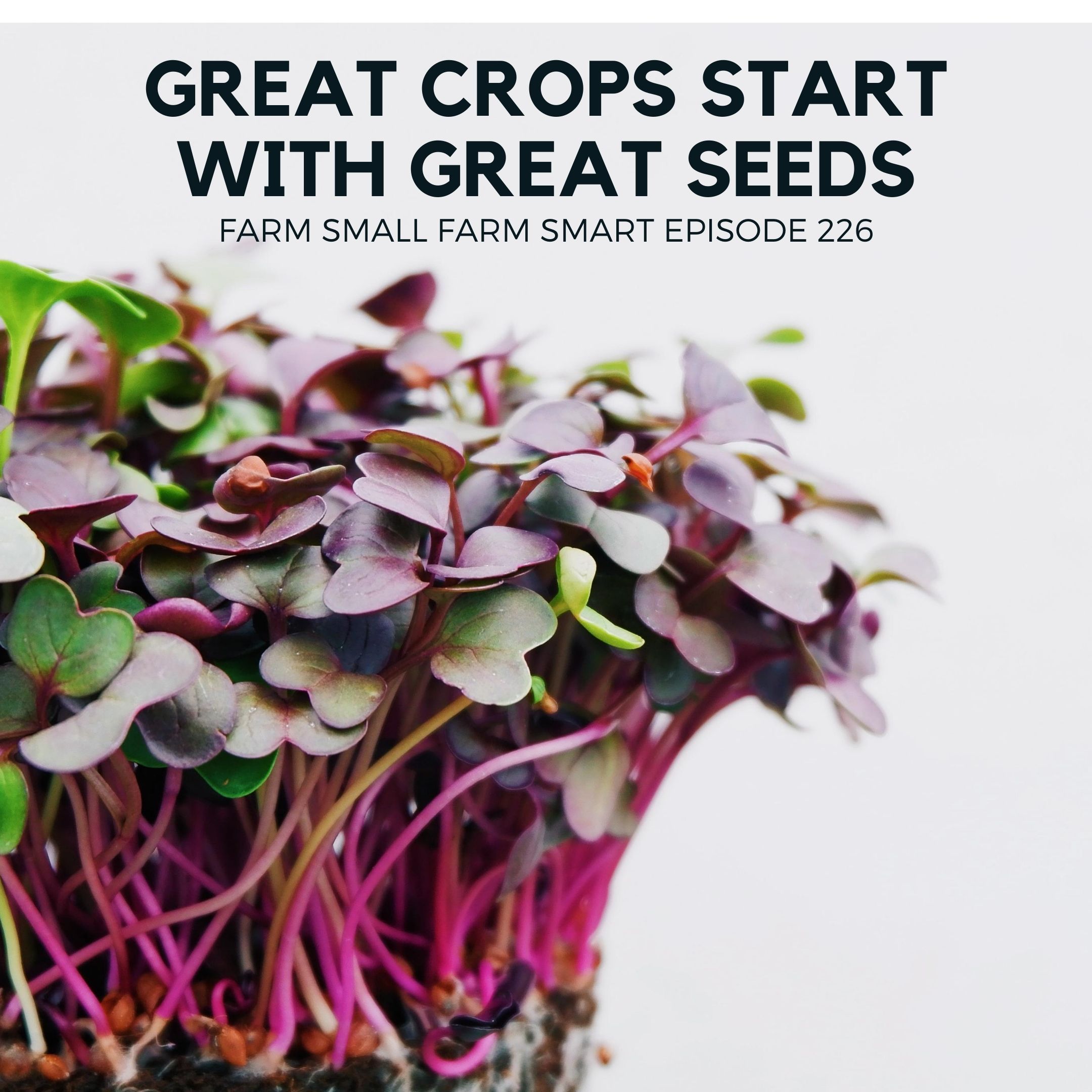 Great Crops Start with Great Seeds - Tips for Microgreen Seed Sourcing ...