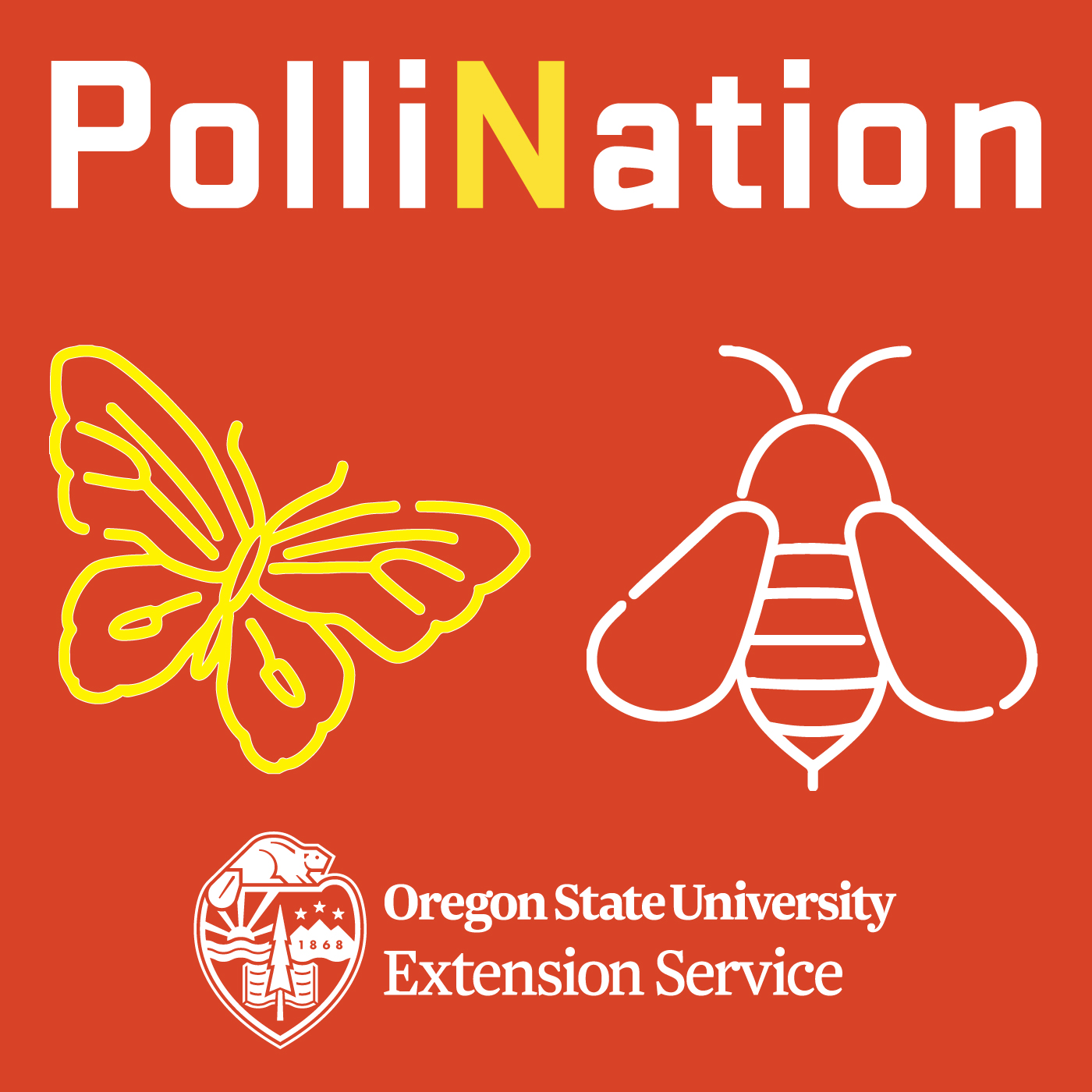 215 - Mahood - Drone congregation areas – PolliNation – Podcast – Podtail